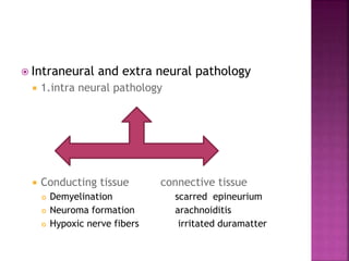 Neural mobilization | PPTX