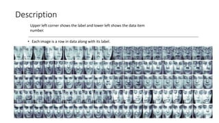 Neural net and back propagation | PPT
