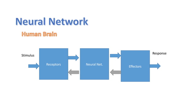 Neural Network Introduction Power Pointttt Ppt