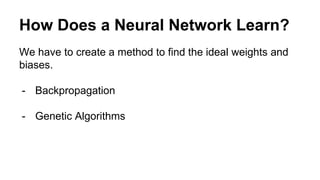 Introduction to Neural Networks | PPTX | Genetics | Science