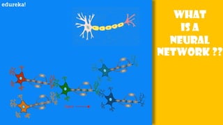 Neural Network Tutorial | Introduction to Neural Network | Deep Learning Tutorial | Edureka | PPT