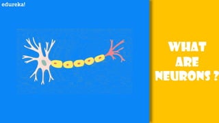 Neural Network Tutorial | Introduction to Neural Network | Deep Learning Tutorial | Edureka | PPT