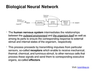 Artificial Neural networks | PPT