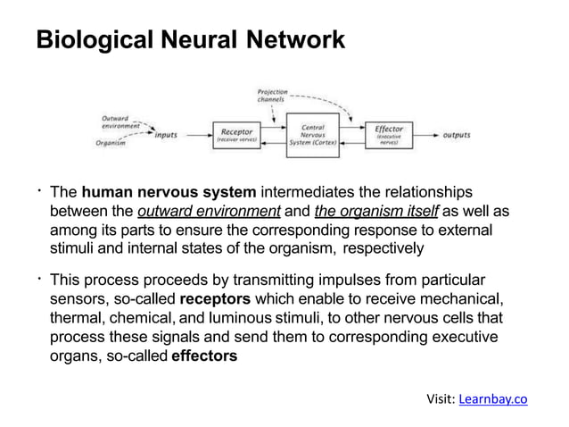 Artificial Neural networks | PPT
