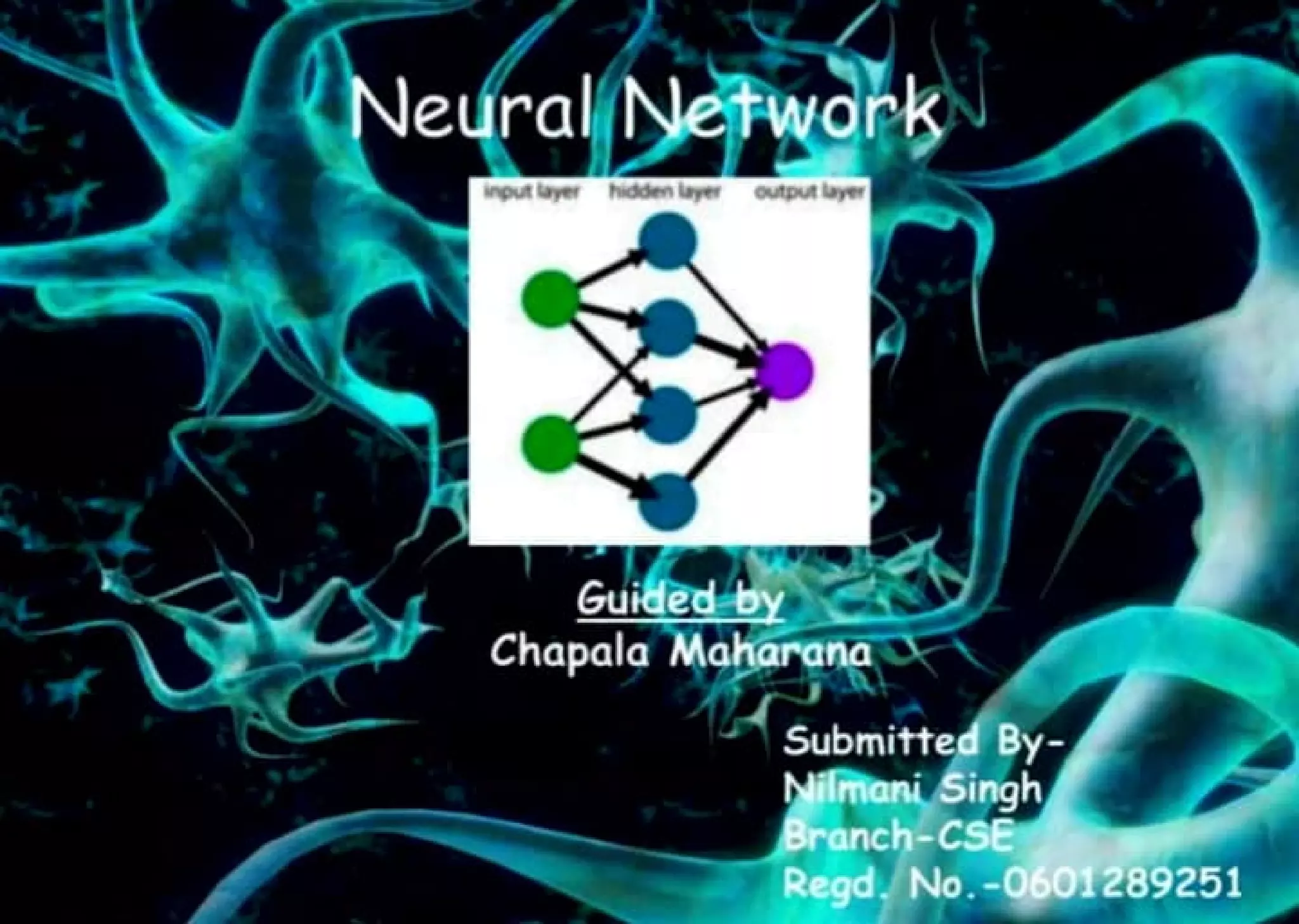 Neural Networks.pdf