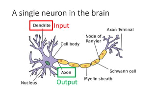 Neural_Networks_scalability_consntency.ppt
