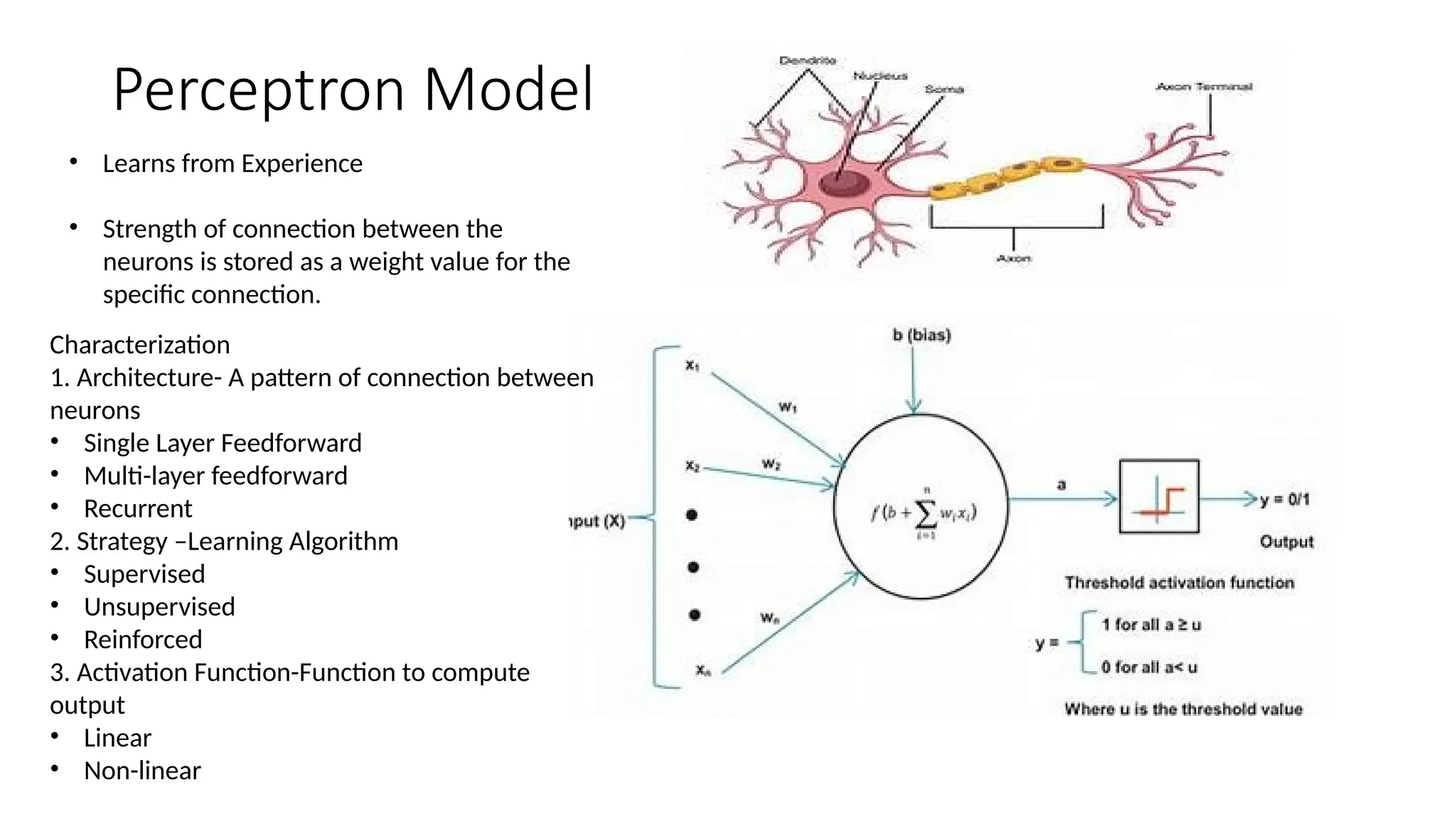Fundamentals of Neural Networks and multilayer perceptron model.pptx