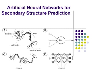 Neural Networks For Secondary Structure.pptx