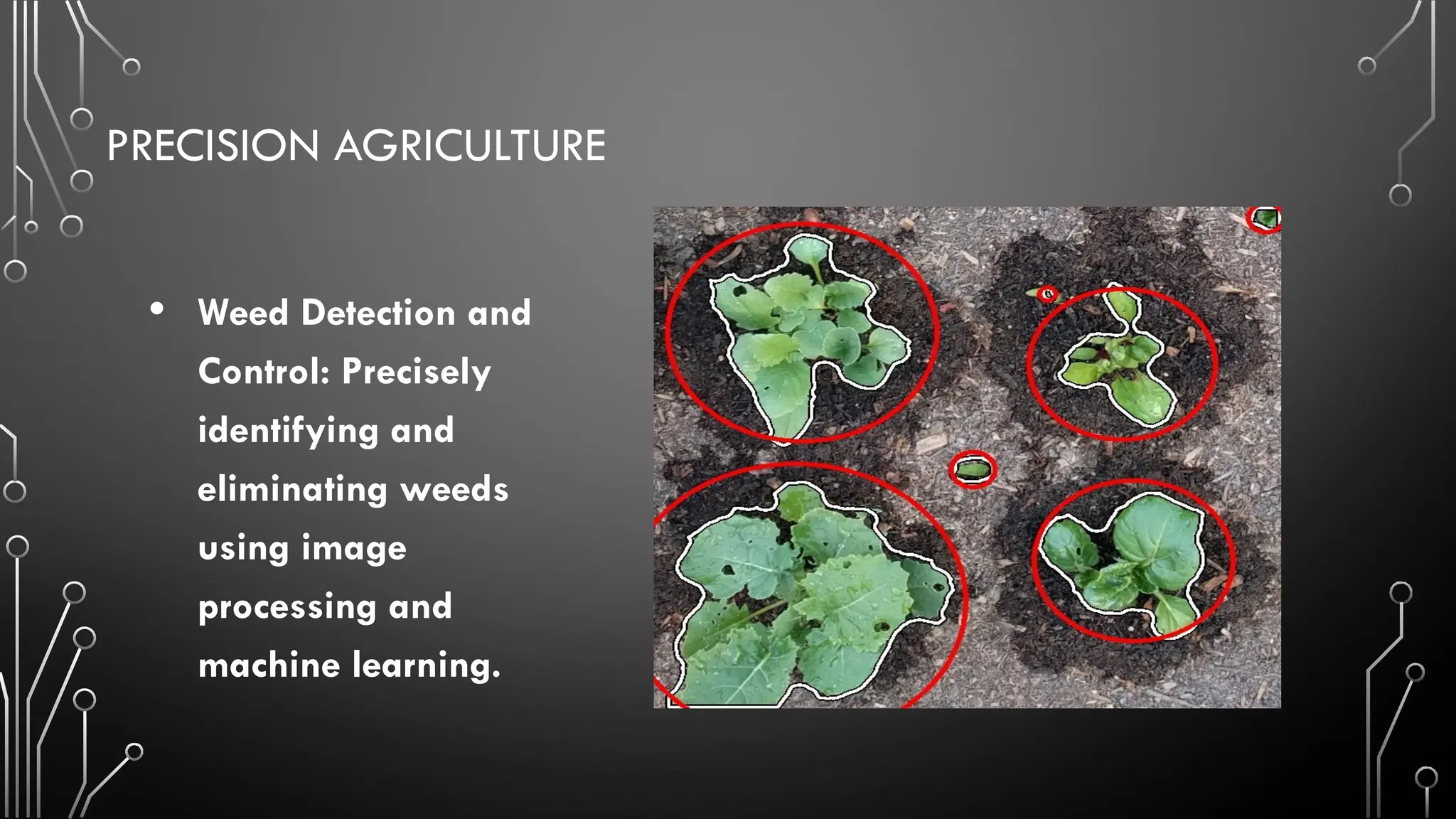 neural networks inrobotics neural networks inrobotics.pptx