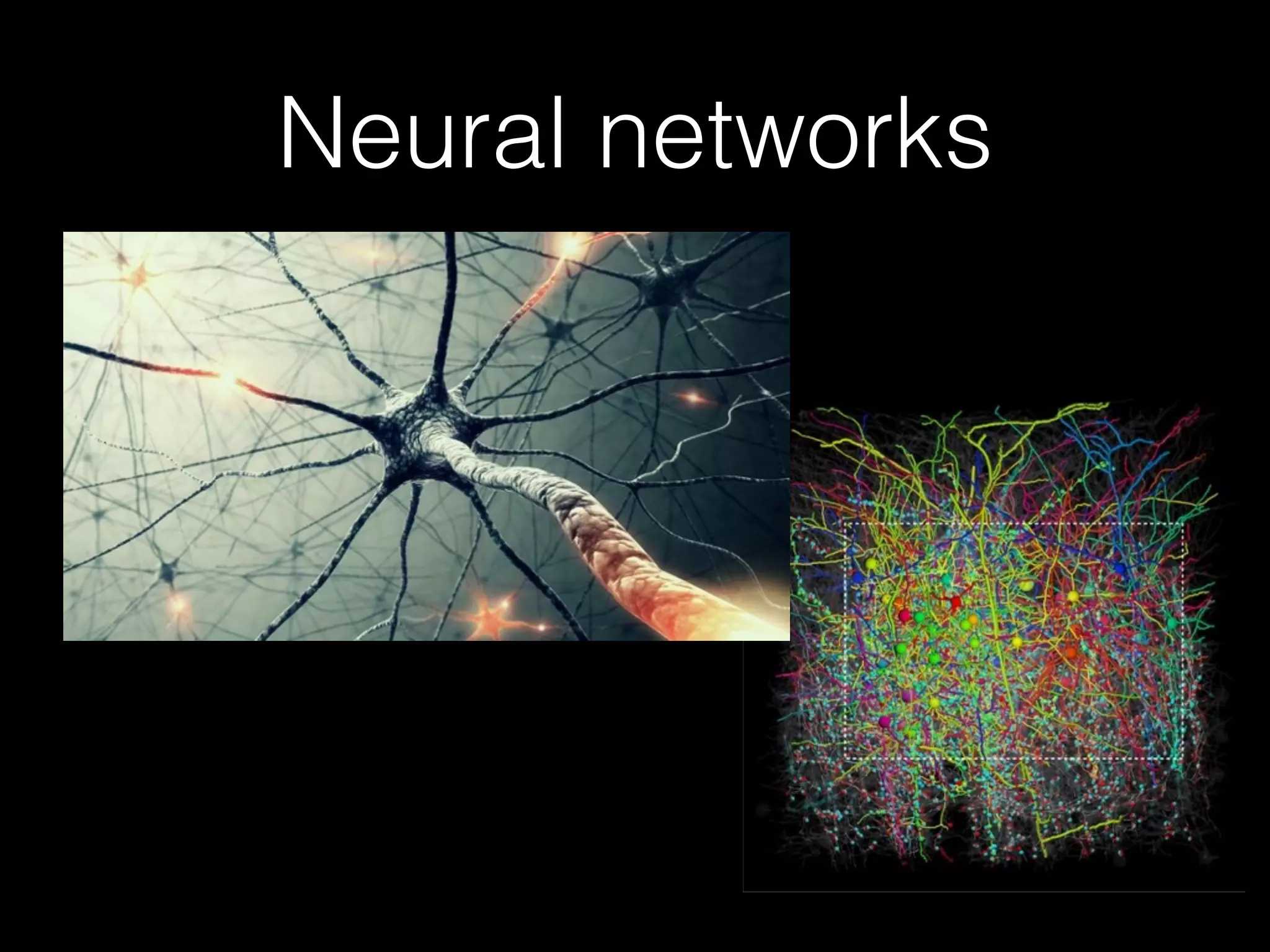Neural networks in the brain | PDF