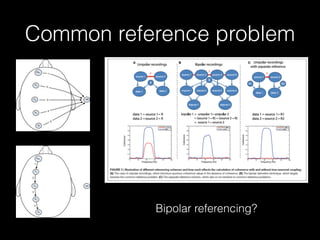 Neural networks in the brain | PDF