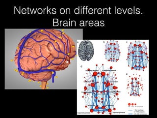 Neural networks in the brain | PDF
