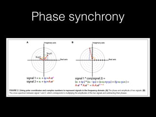 Neural networks in the brain | PDF
