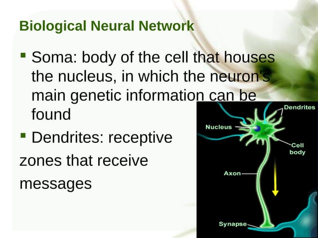 Neural networks introduction | PPT