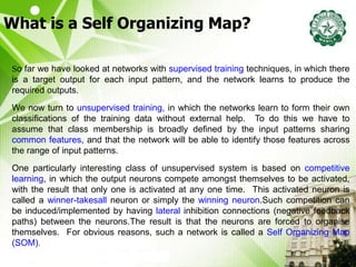 Neural networks Self Organizing Map by Engr. Edgar Carrillo II | PPT