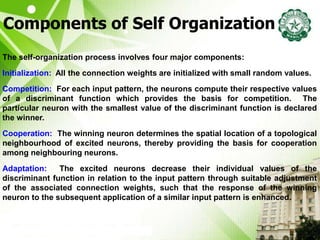 Neural networks Self Organizing Map by Engr. Edgar Carrillo II | PPT