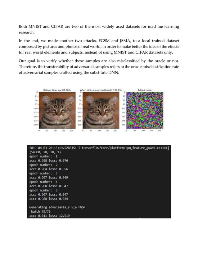 Black-Box attacks against Neural Networks - technical project report | PDF