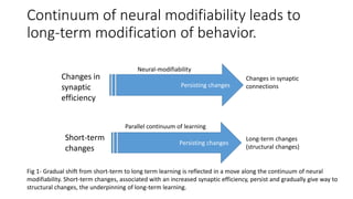 Neural plasticity | PPTX