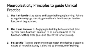 Neural plasticity | PPTX | Brain and Nervous System Disorders ...