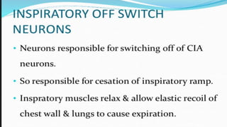 Neural regulation | PDF