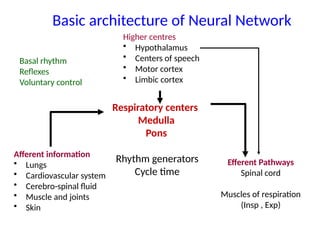 Neural Regulation of breathing 2023.pptx