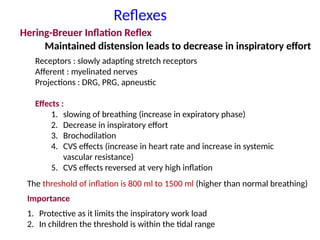 Neural Regulation of breathing 2023.pptx