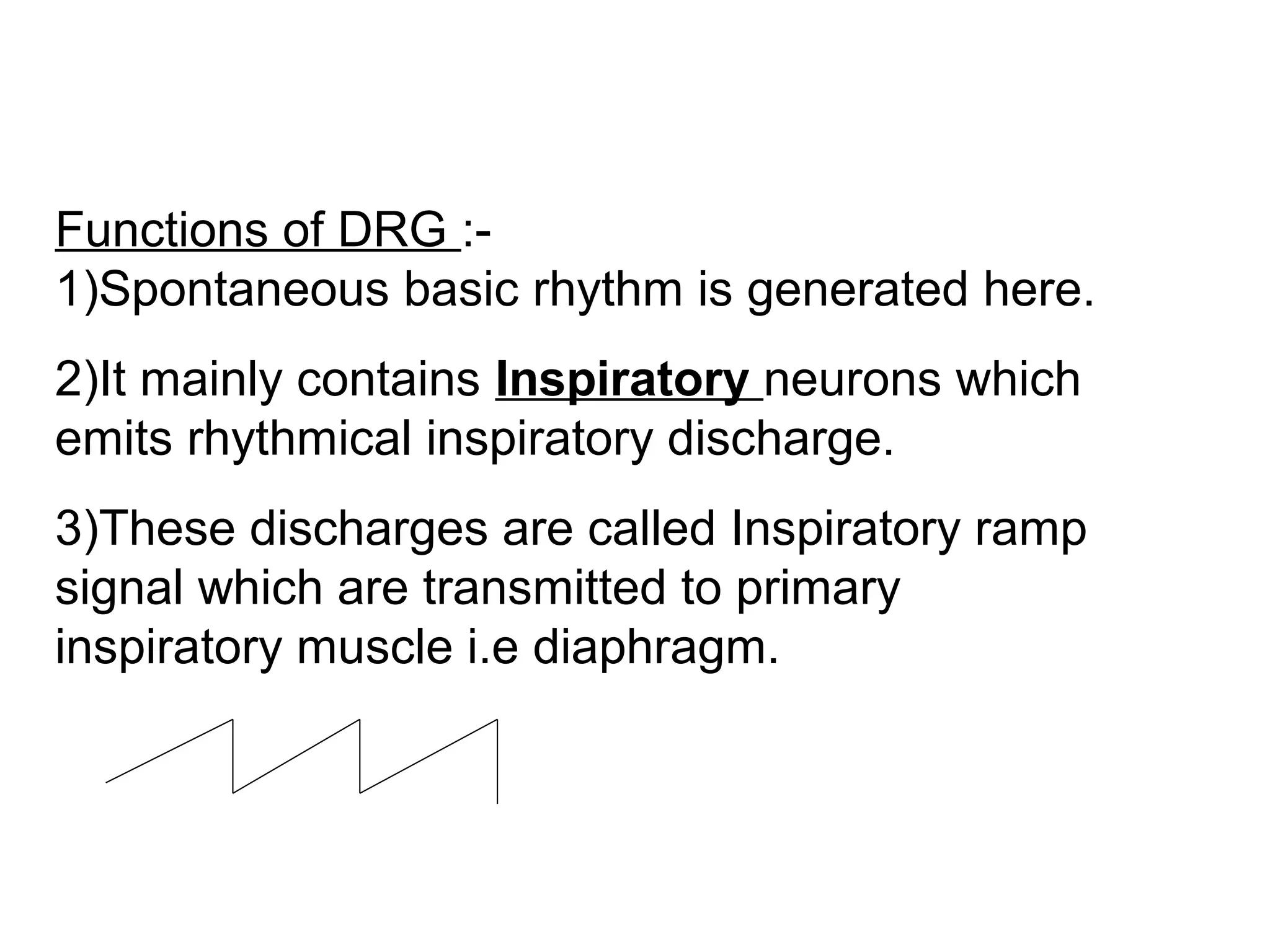 Neural regulation of resp by Dr. Mrs Sunita M. Tiwale Professor Dept of ...