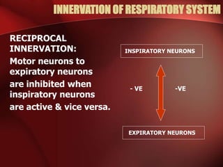 NEURAL REGULATION OF RESPIRATION.ppt