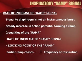 NEURAL REGULATION OF RESPIRATION.ppt
