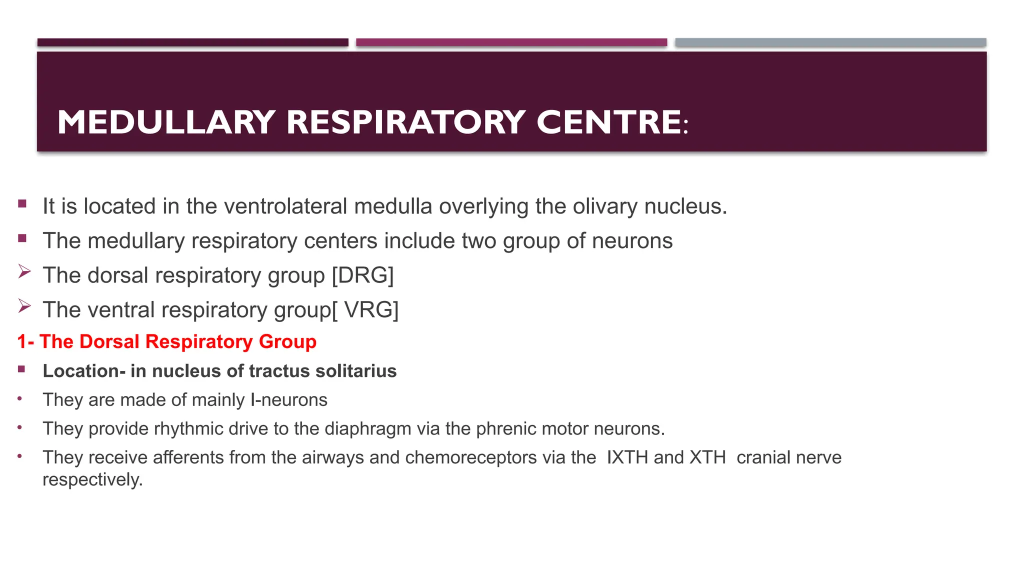 Neural regulation of respiration.pptx by shibra razi | PPTX