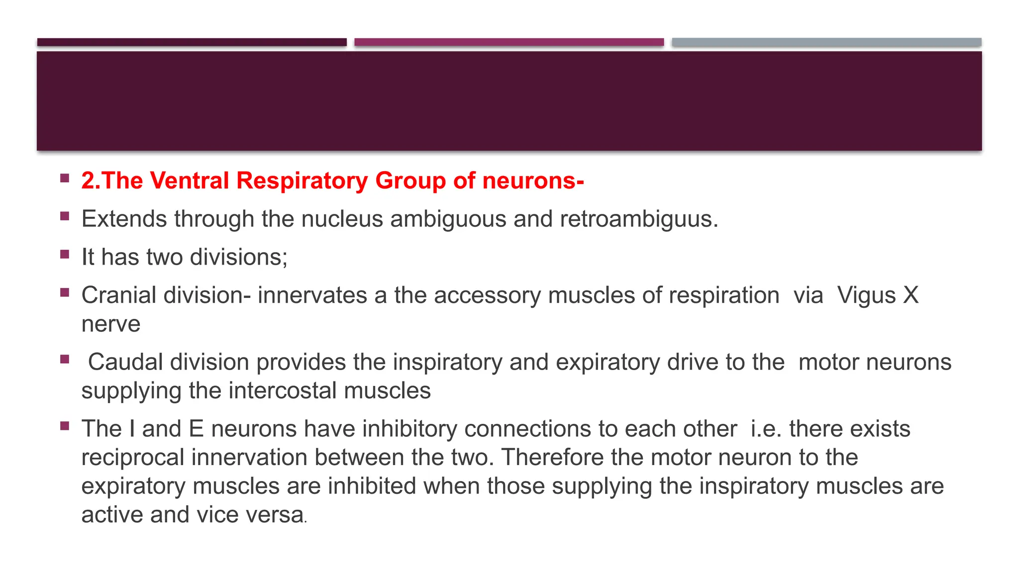 Neural regulation of respiration.pptx by shibra razi | PPTX