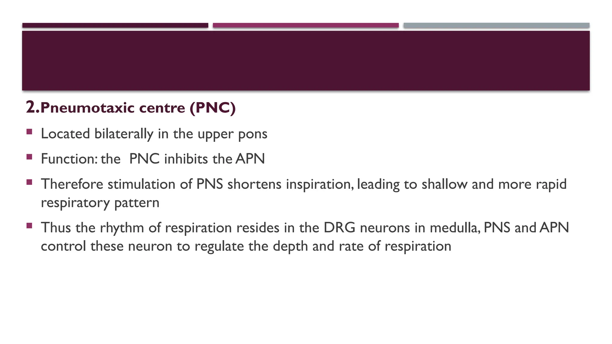 Neural regulation of respiration.pptx by shibra razi | PPTX