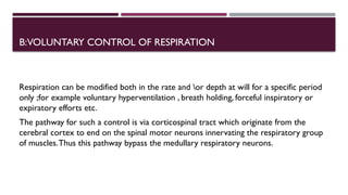 Neural regulation of respiration.pptx by shibra razi | PPTX