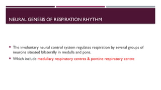 Neural regulation of respiration.pptx by shibra razi | PPTX