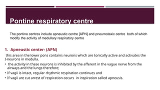 Neural regulation of respiration.pptx by shibra razi | PPTX