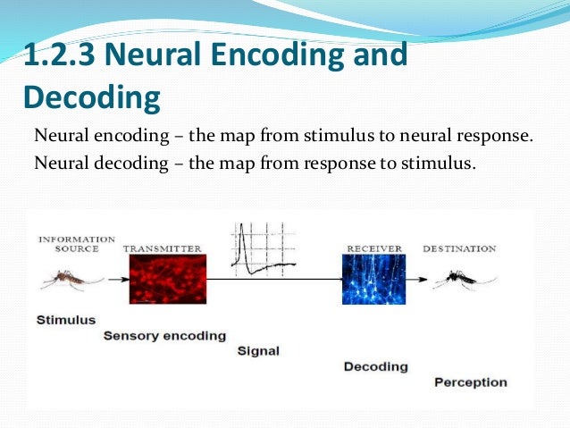 Neural signal processing by mustafa rasheed & zeena saadon & walaa ka…