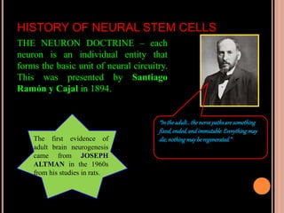NEURAL STEM CELLS AND NEUROGENESIS | PPTX