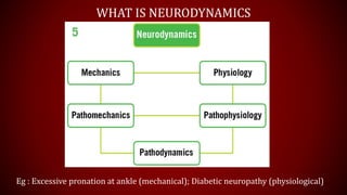 Neural tissue mobilization (Assessment) | PPTX