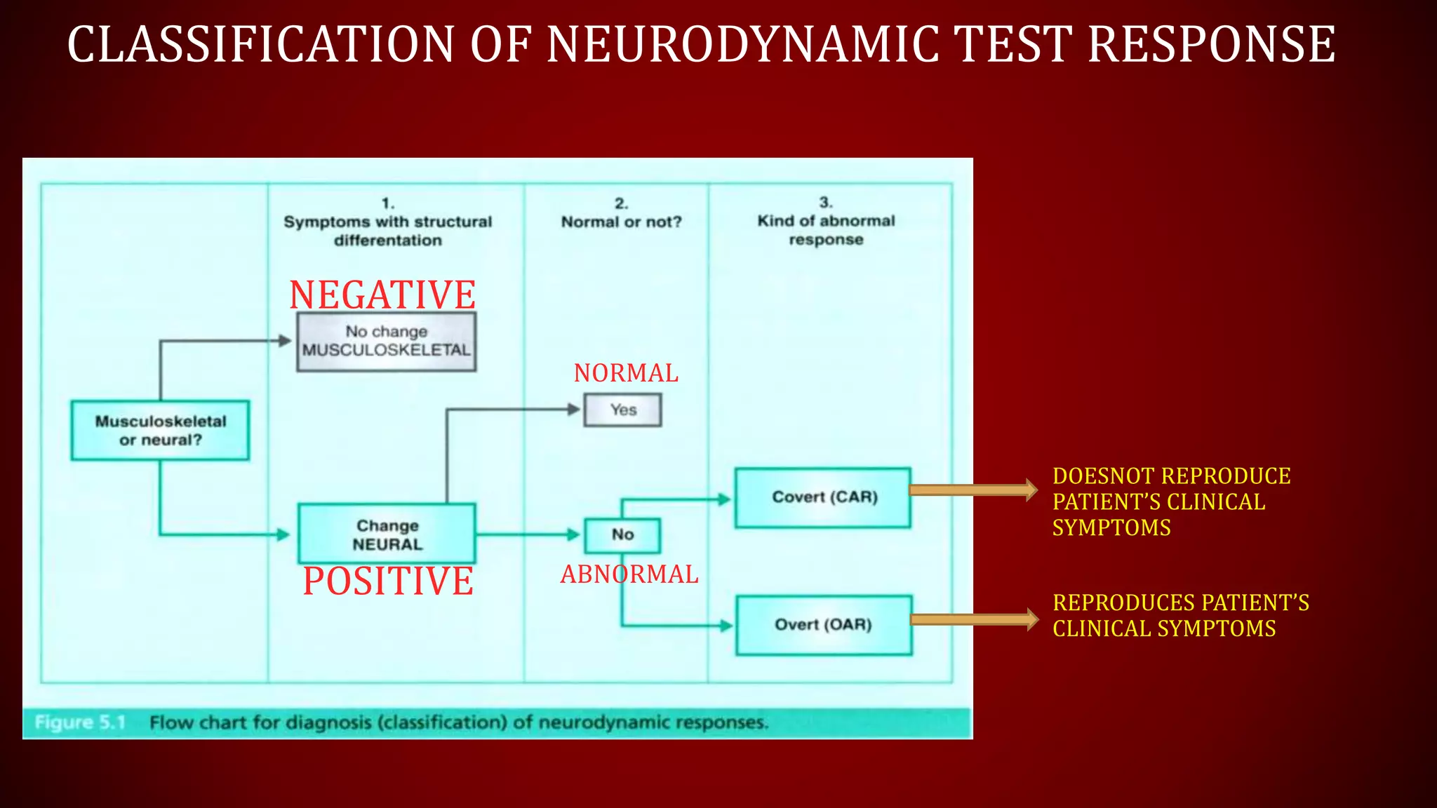 Neural tissue mobilization Upper Limb Assessment | PPTX