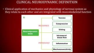 Neural tissue mobilization Upper Limb Assessment | PPTX