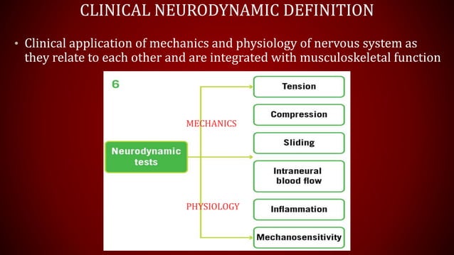 Neural tissue mobilization Upper Limb Assessment | PPTX | Brain and ...