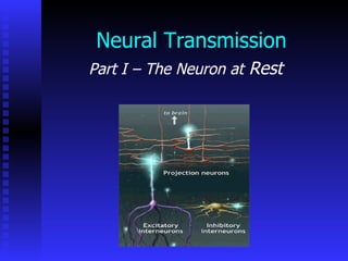 Neural Transmission | PPT