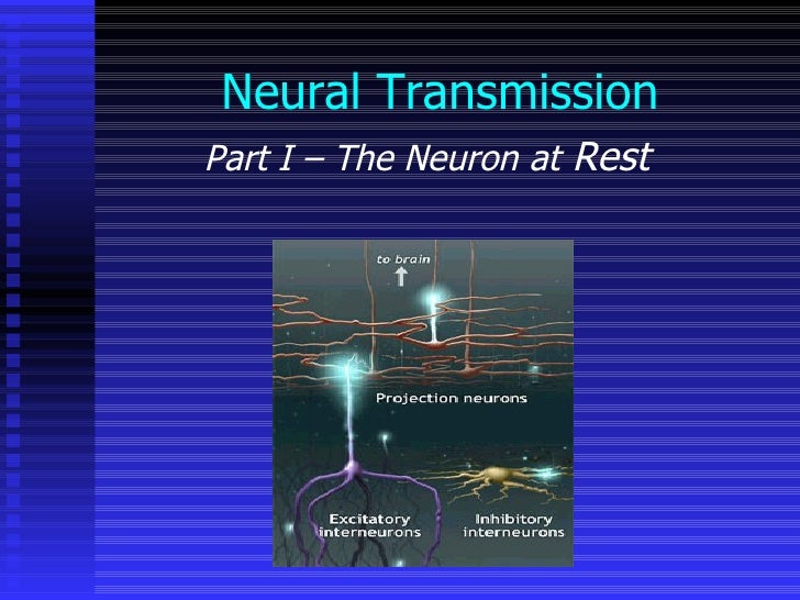 What Is A Neural Transmission at Doris Jones blog