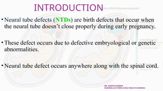 NEURAL TUBE DEFECT pptx | PPTX