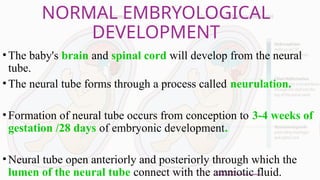 NEURAL TUBE DEFECT pptx | PPTX
