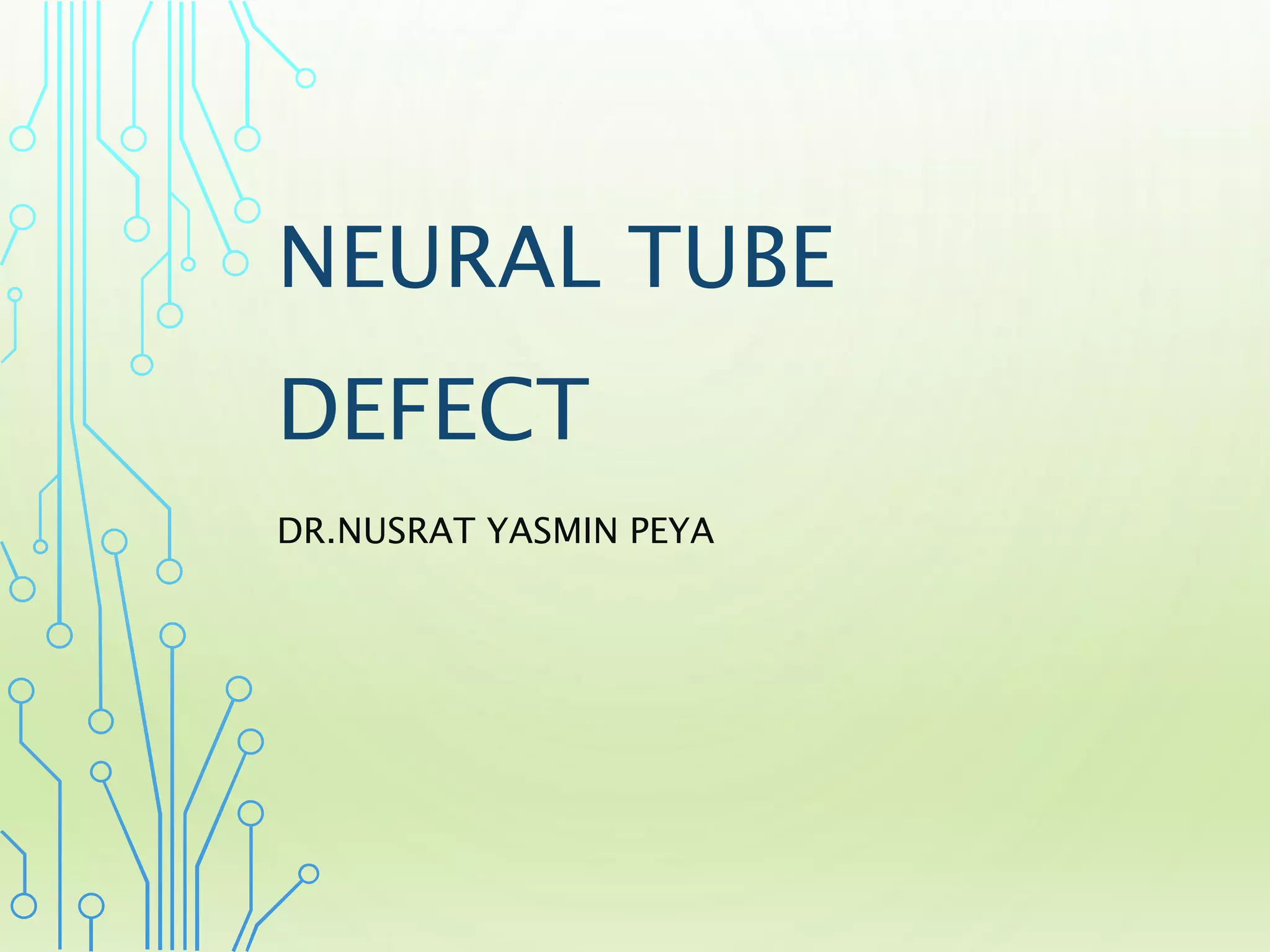 Neural tube defect | PPTX