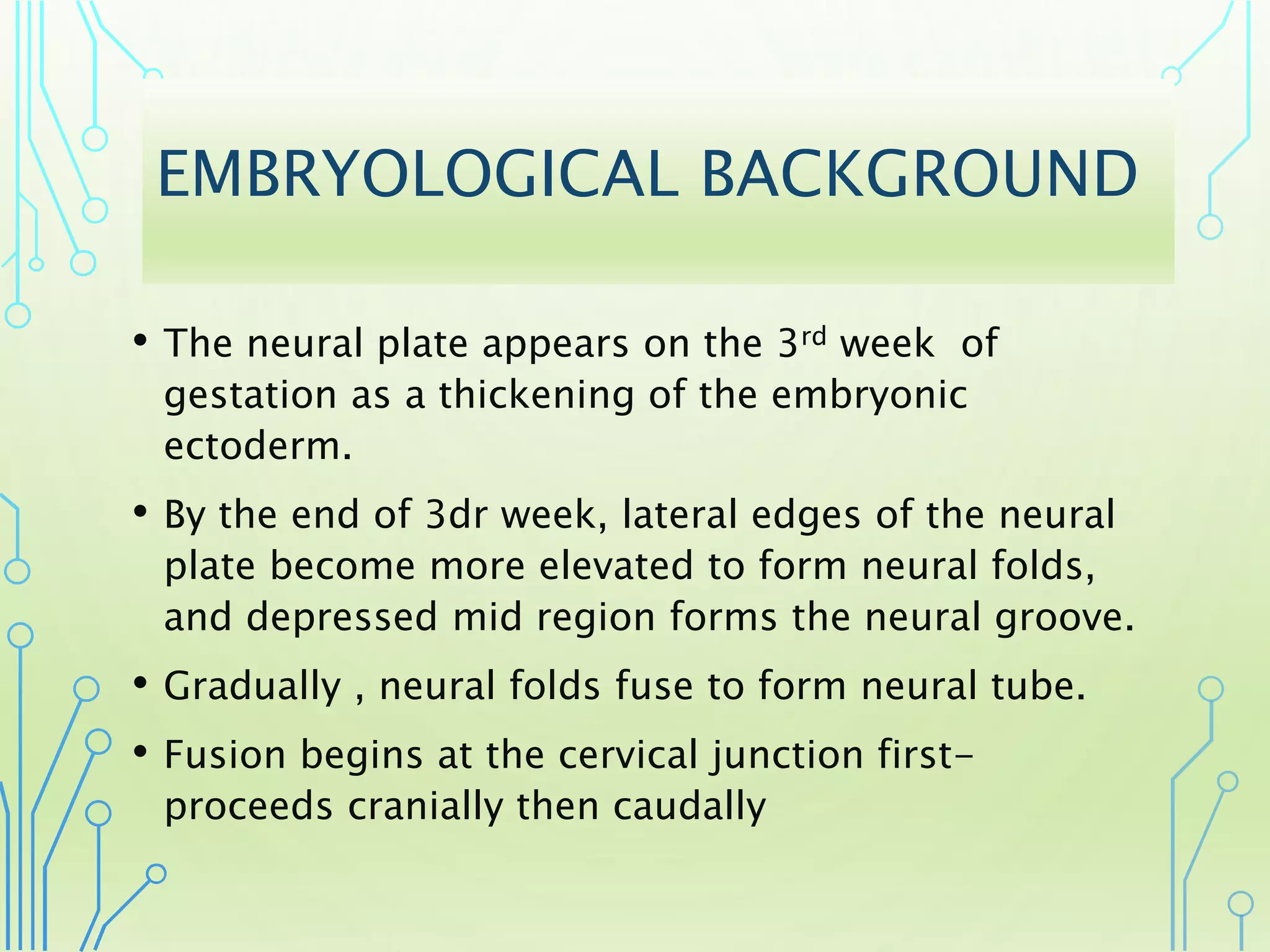 Neural tube defect | PPTX