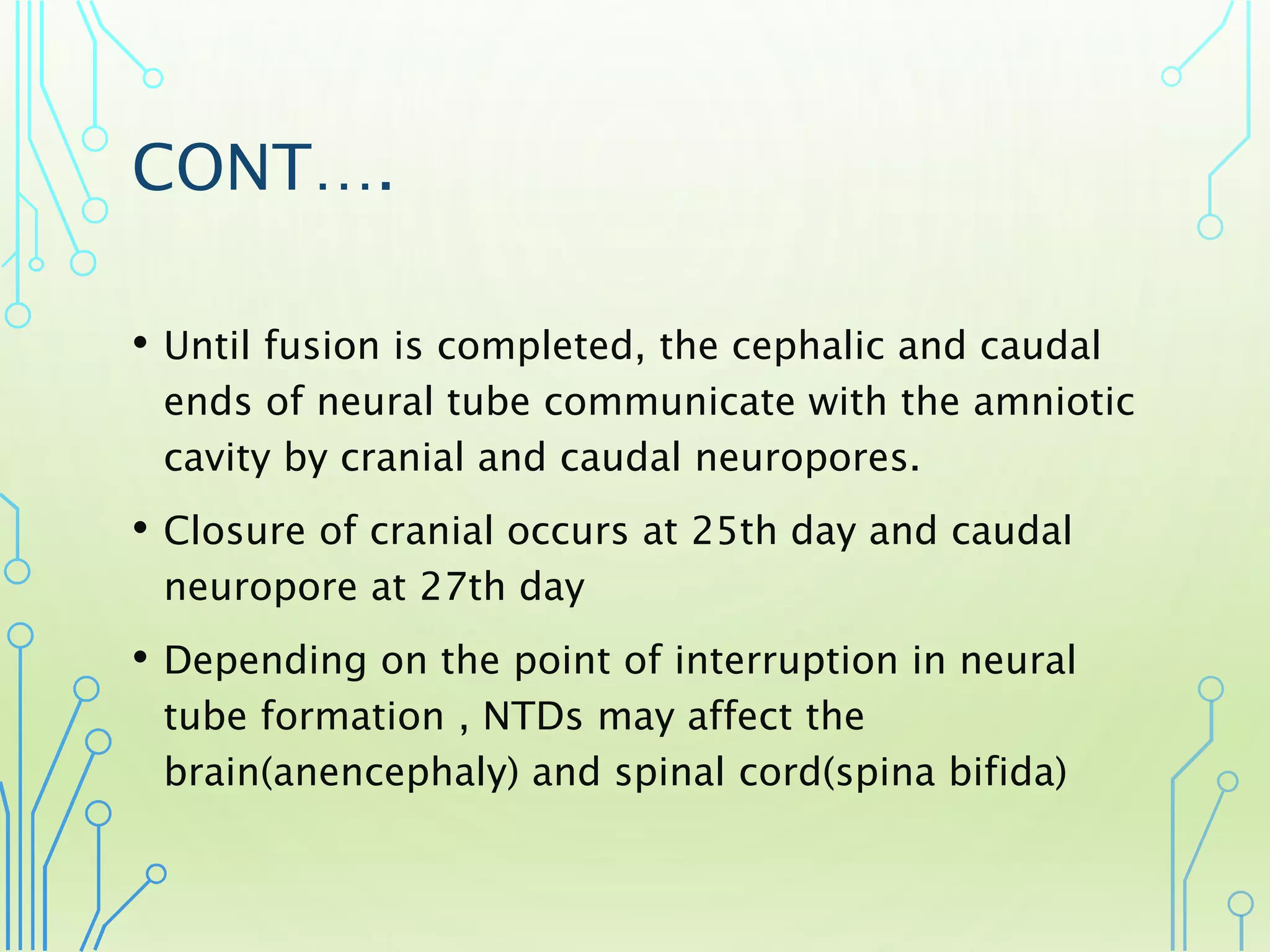 Neural tube defect | PPTX