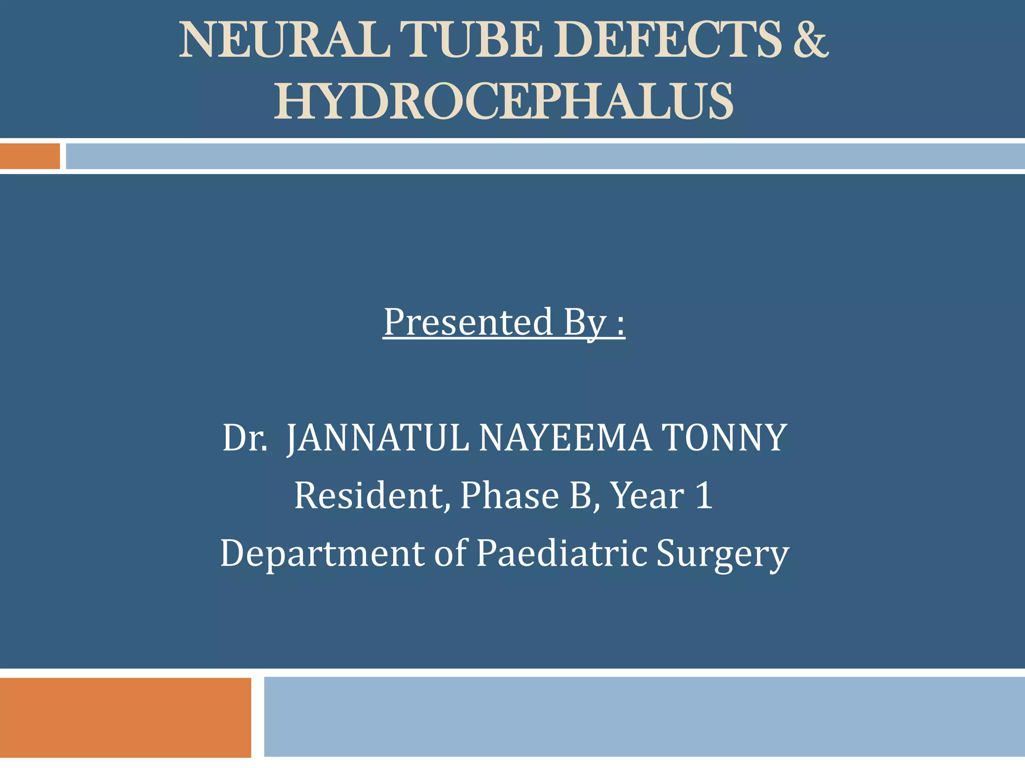 Neural tube Defect & Hydrocephalus | PDF