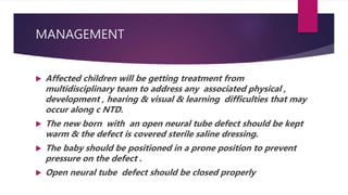 Neural tube defect [ntd] | PPTX